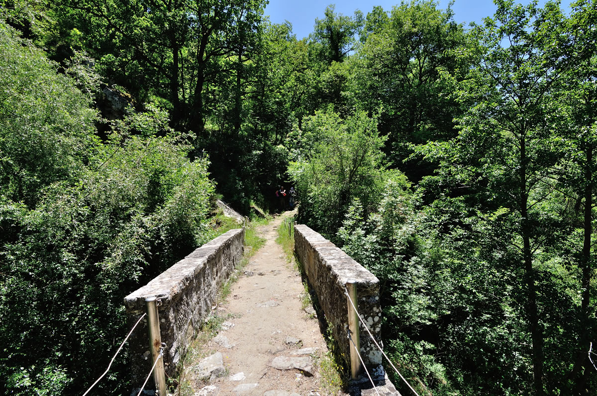 The seven stone path